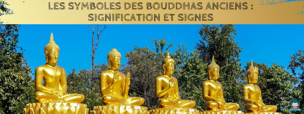 Les Symboles des Bouddhas Anciens : Signification et Signes - La Maison ...